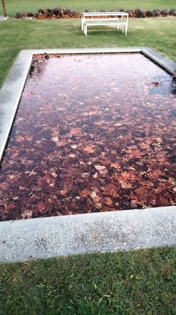 Autumn Pool Care Tips from Aquanort Pools
